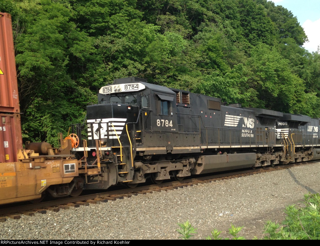 NS 8784 in the Spring